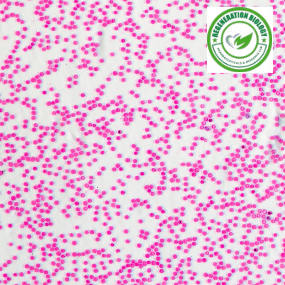 Regeneration Biology | Pharmaceutical, Research Labs