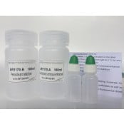 Regeneration Biology | Pharmaceutical, Research Labs